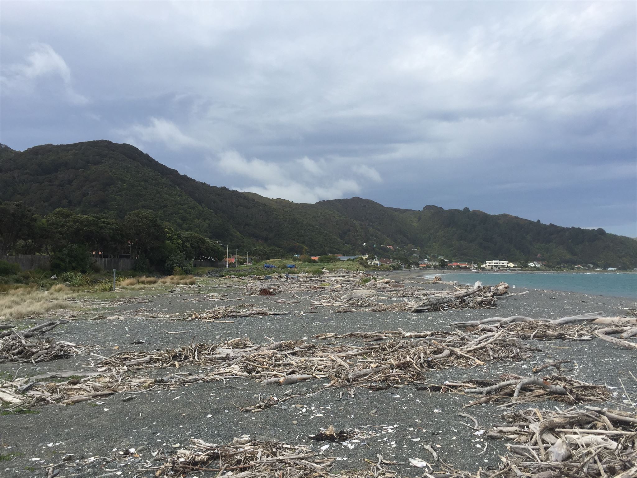 GC657BJ WELLYWOOD: Eastbourne (Wellywood) (Unknown Cache) in North ...