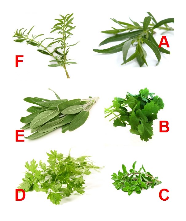 GC62975 Fressie 2: Hexenkräuter (Unknown Cache) in Niedersachsen ...