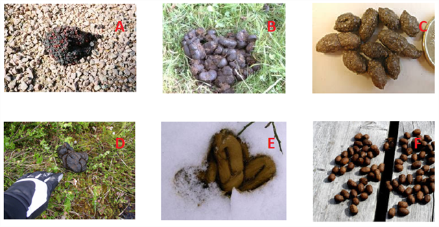 GC5R9T8 bajaMAJa (Unknown Cache) in Kronoberg, Sweden created by cookiebar