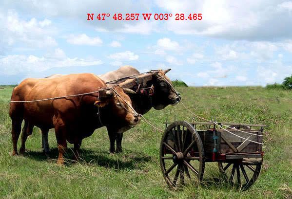 GC681E4 Mettre la charrue avant les bœufs ! (Unknown Cache) in Bretagne ...