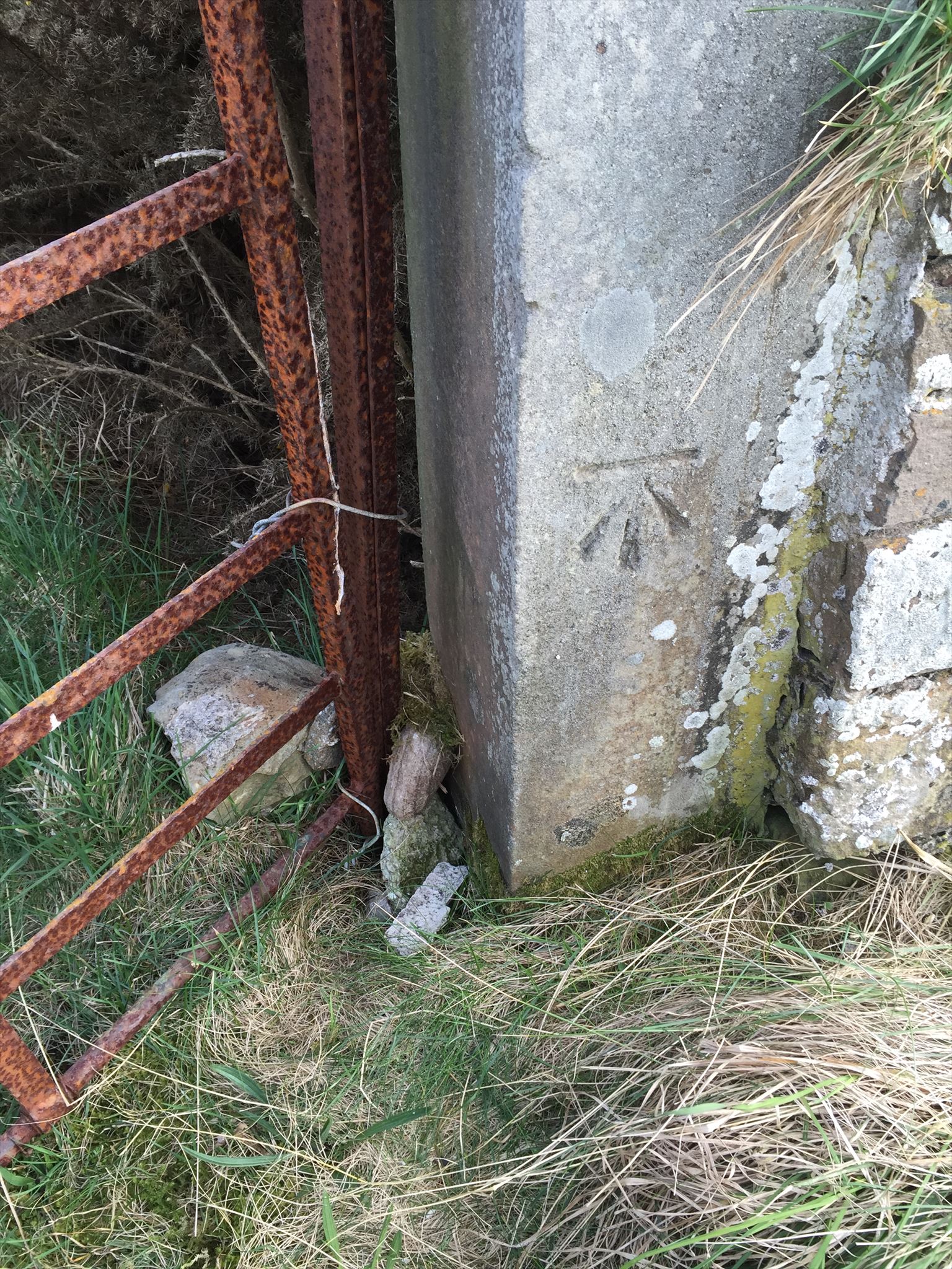 Cut Mark: Hopeman, Hopeman Lodge - Bench Mark Database