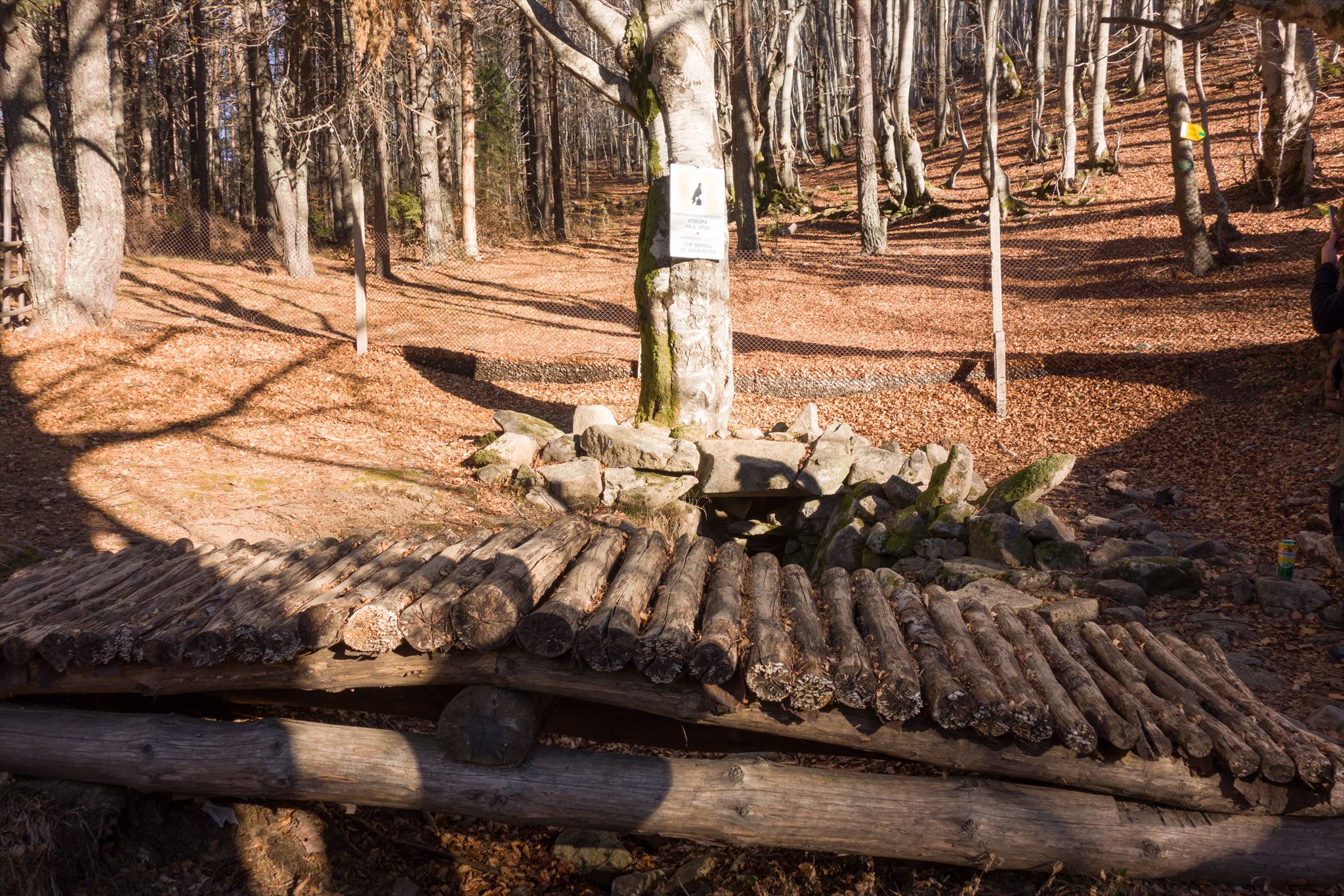 GC693TD The springs of Arda river (Traditional Cache) in Bulgaria ...
