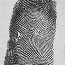 GC64VVW Fingerprints (Unknown Cache) in Minnesota, United States ...